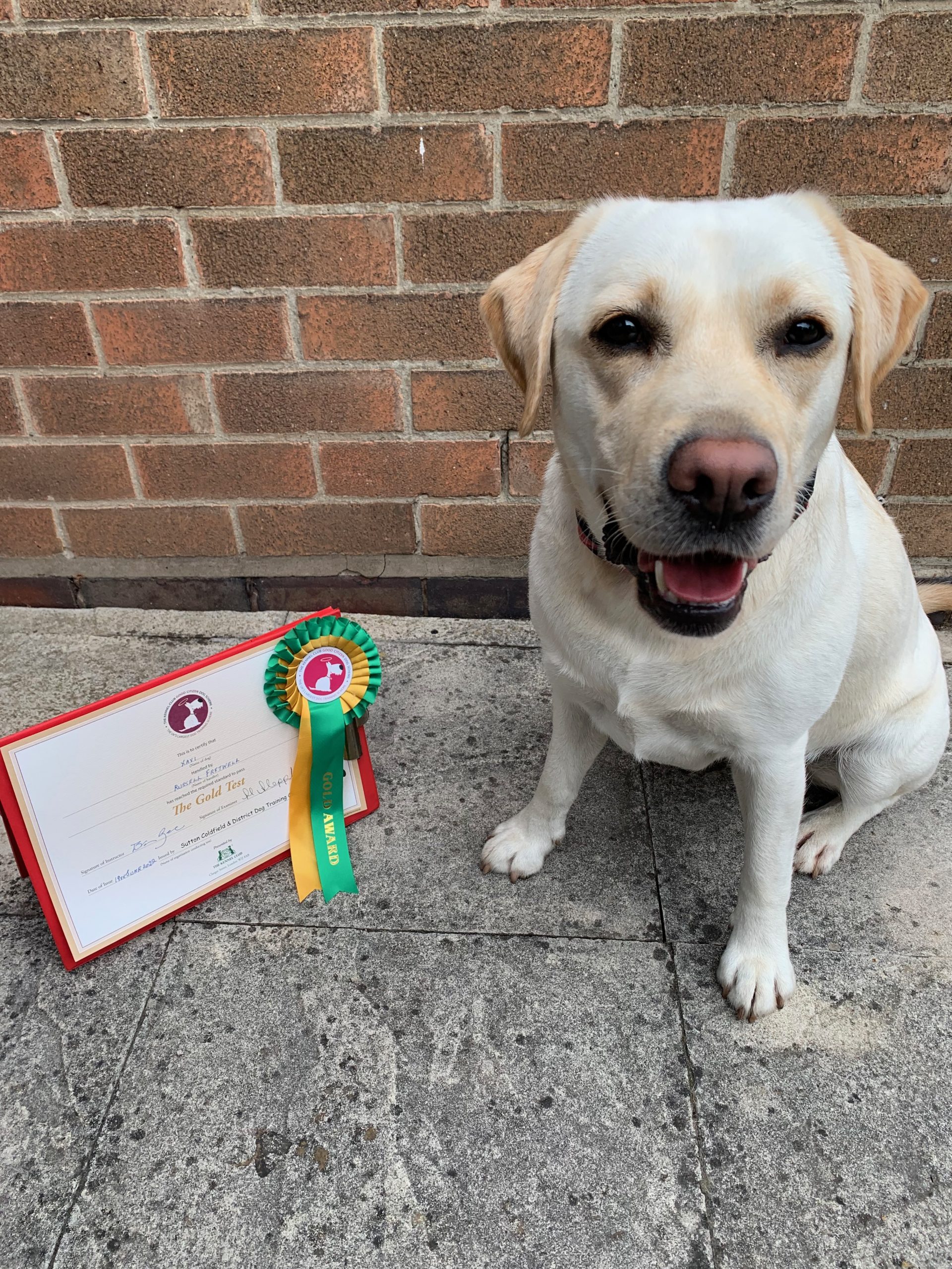 Good citizen dog scheme - Sutton Coldfield & District Dog Club